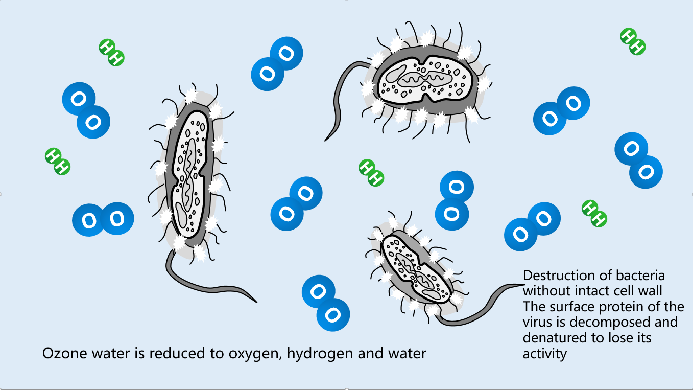 Ozone Disinfection mechanism - Bluamec Technology